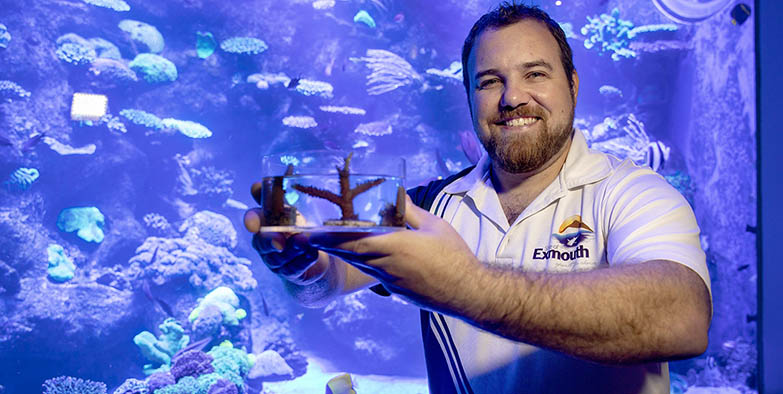 Become a Preferred Supplier | WALGA