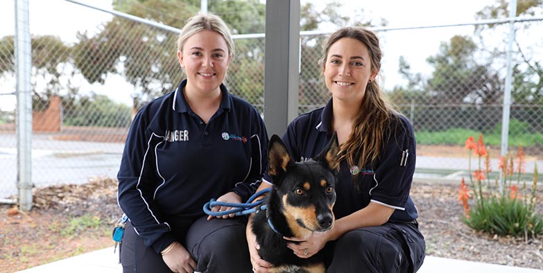 Local Government Directory | WALGA